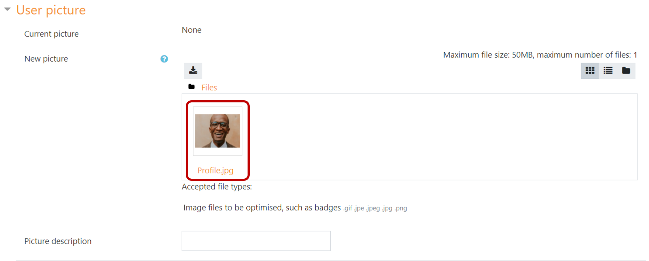 Section: Lesson 5: How do I view and edit my student profile? | STU-100: Basic Skills in Using ...